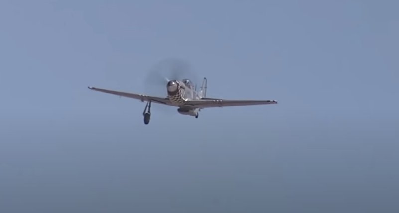 Pilot Makes Daring Crash Landing With P-51 Mustang – War Bird Fanatics