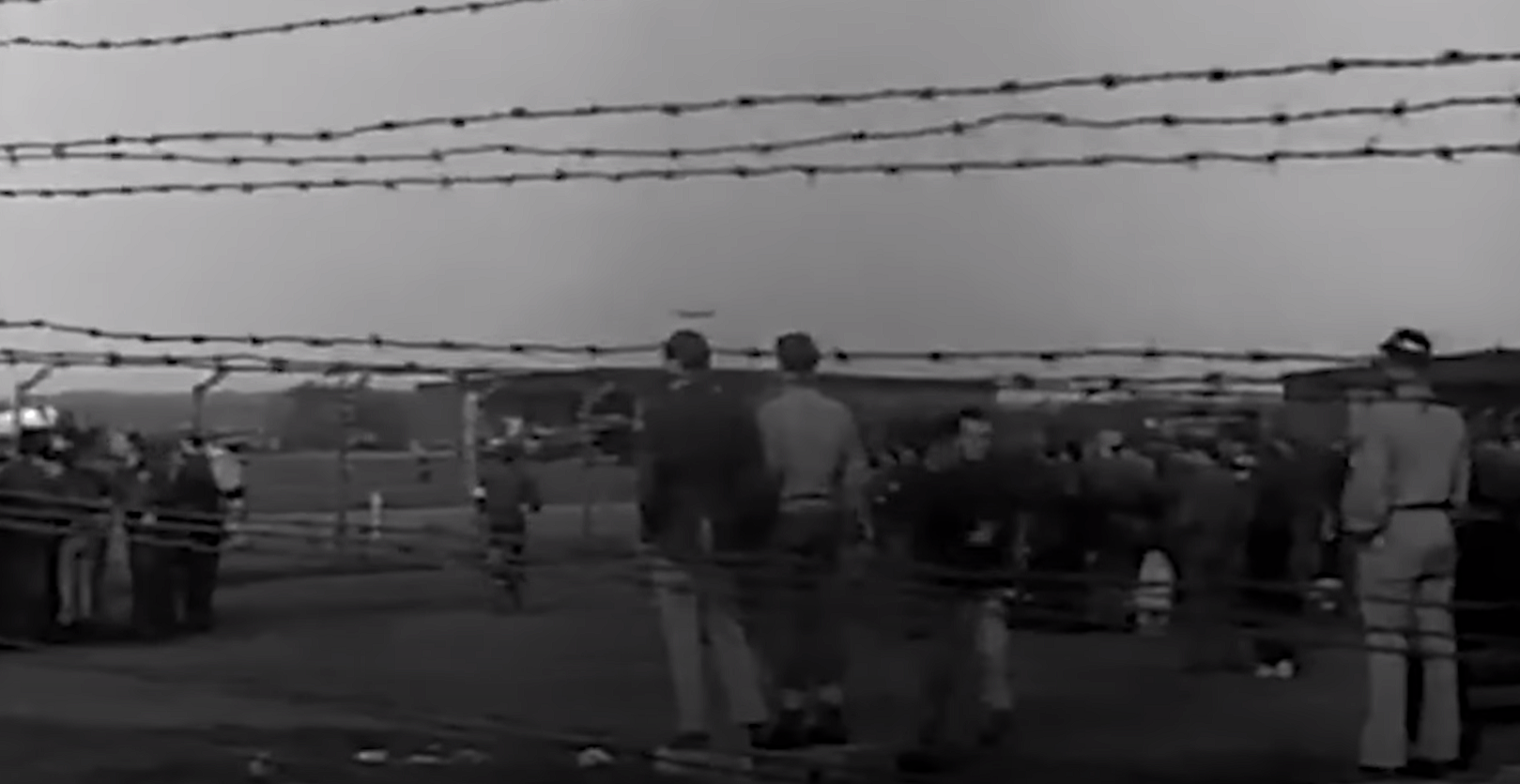 The Most Precious Cargo of WW2 – War Bird Fanatics
