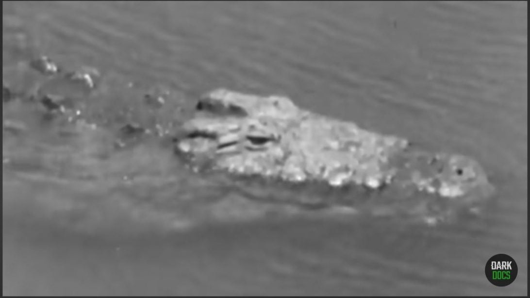 When Japanese Troops Were Hunted Down by Crocodiles- Ramree Island WW2 ...