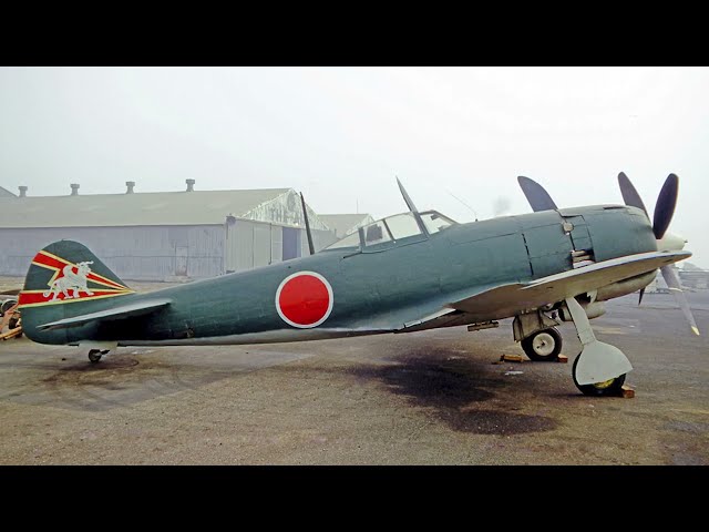 The WW2 Super Fighter With Monster Firepower – War Bird Fanatics