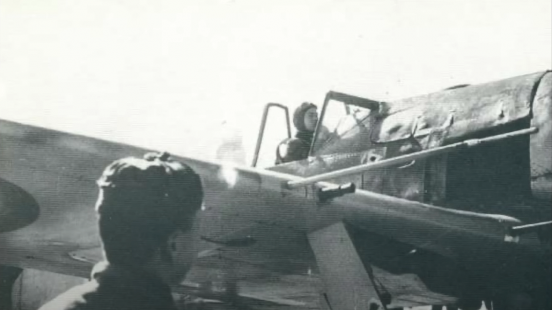 WW2 German Planes in Japanese Service – War Bird Fanatics