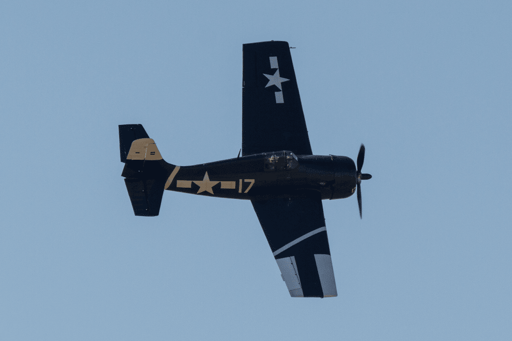 The Toughest Fighter of World War II – War Bird Fanatics