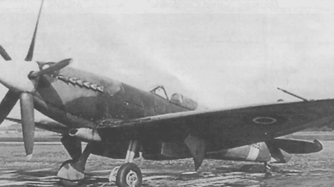 The Top 10 Fastest Piston Fighter Ever – War Bird Fanatics